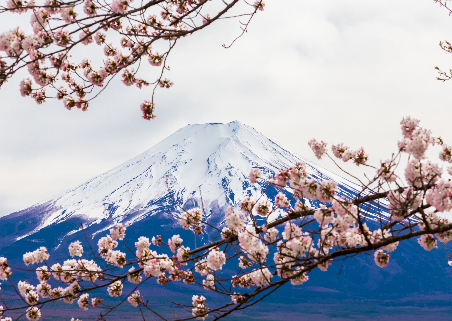Japonijos simbolis ir pasididžiavimas - Fudži kalnas - Zigzag.lt kelionių blogas