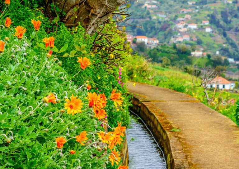 madeira blogui 4 - Zigzag.lt kelionių blogas