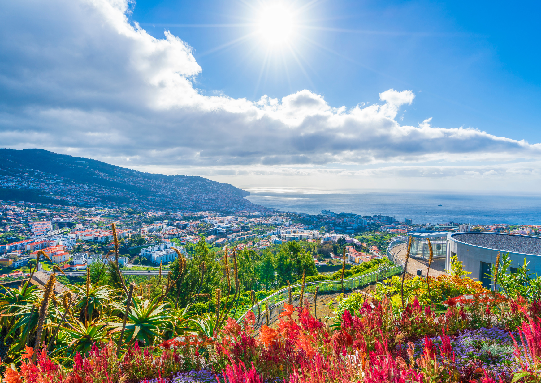 Madeiros magija. Kas tos levados? - Zigzag.lt kelionių blogas